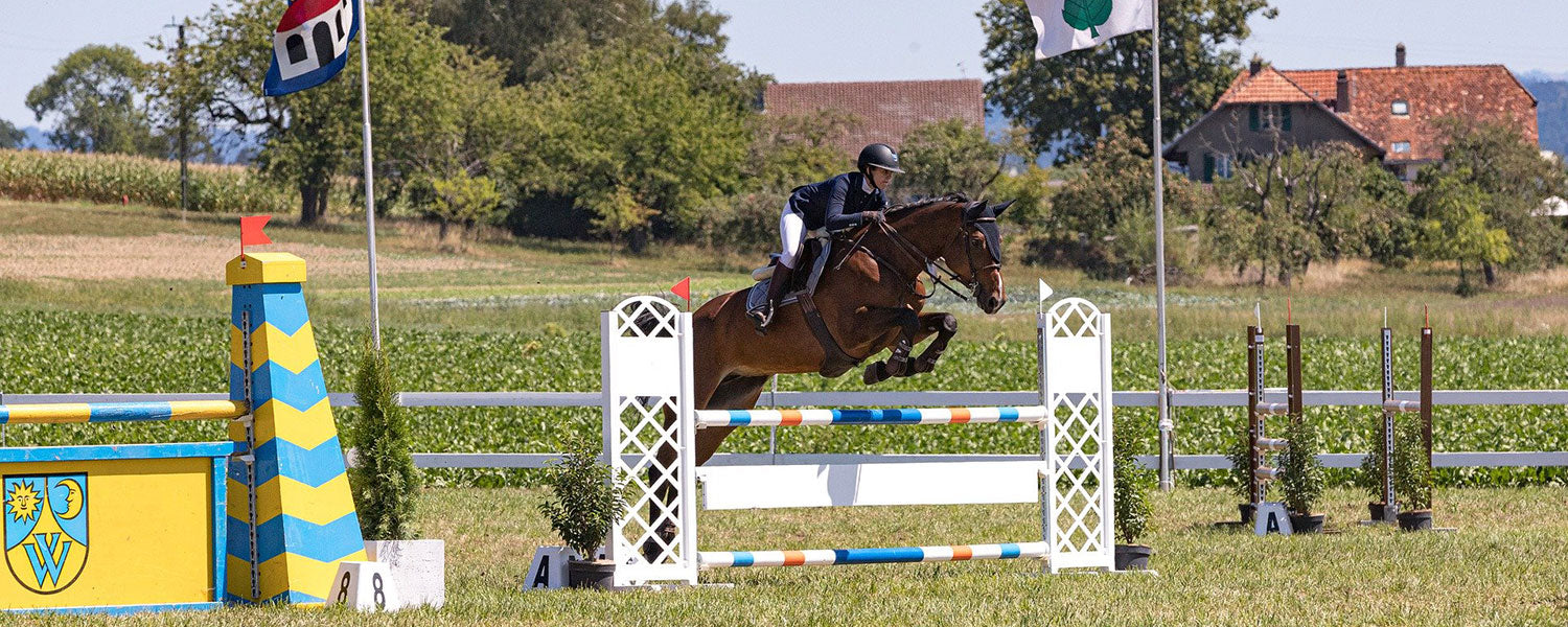 The different types of equestrian competitions – La Sellerie Française