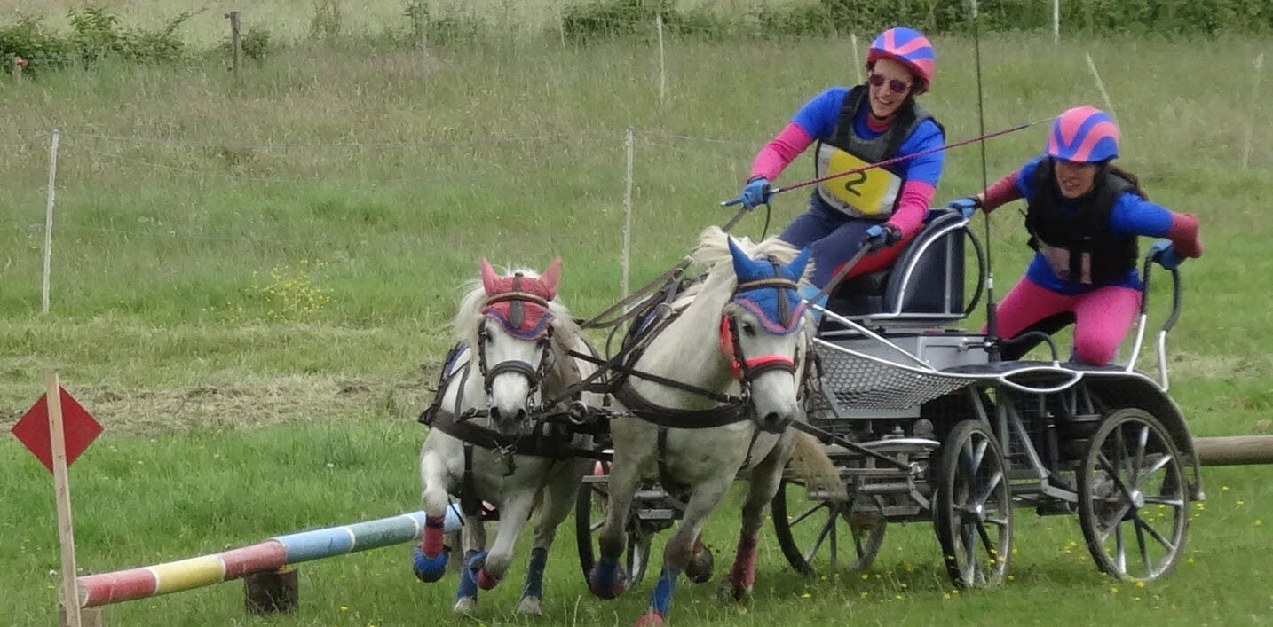 What is harnessing? – La Sellerie Française