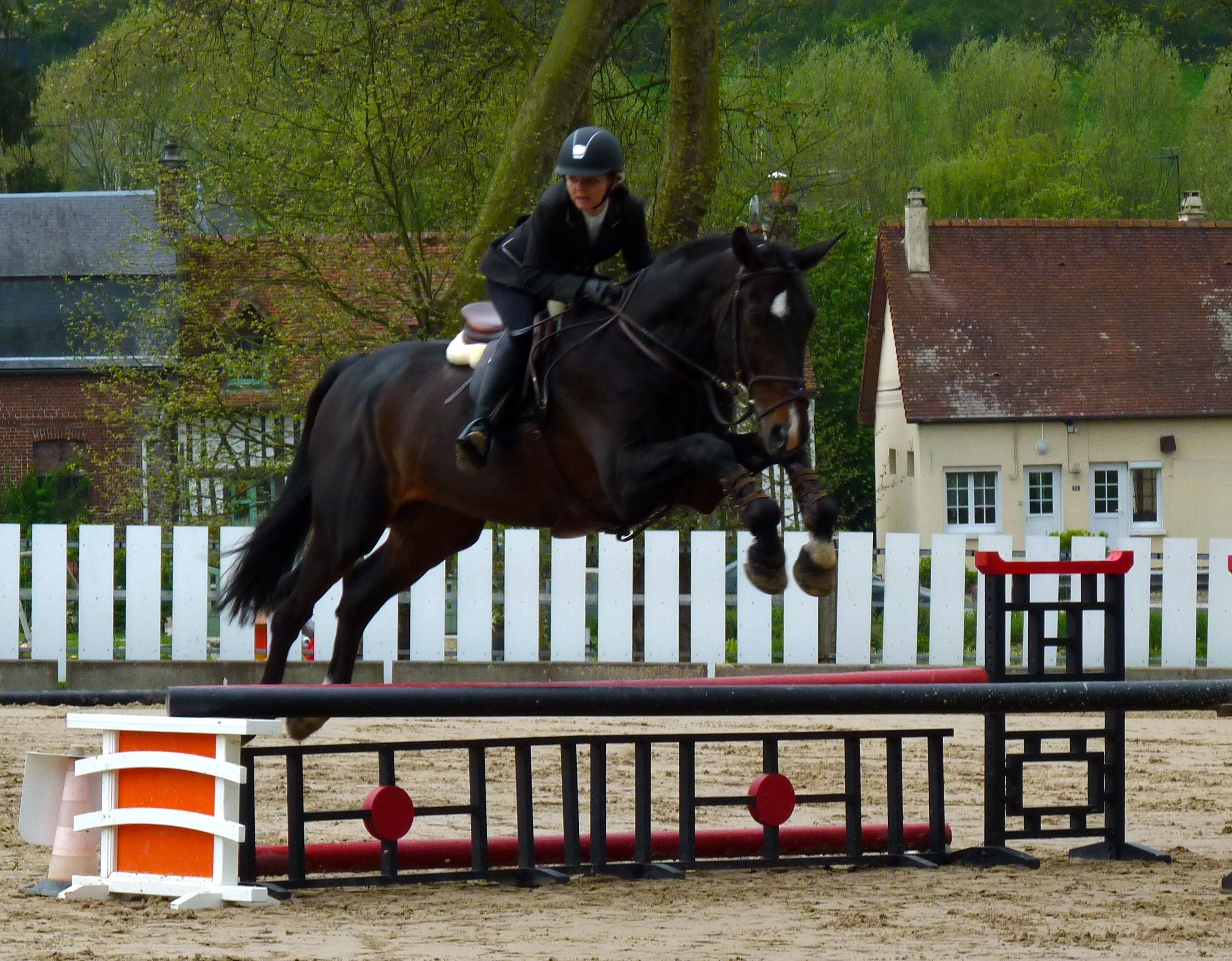 What is hunter? – La Sellerie Française